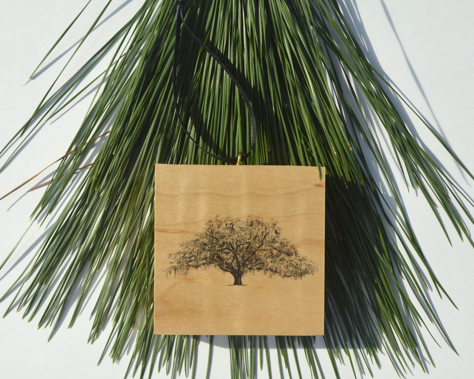 Candler Oak Tree Fine Art Print on Wood Savannah Georgia | Etsy