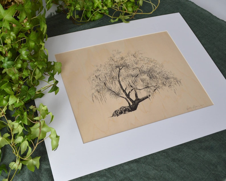 Old Oak Tree Art Print on Wood Veneer Line Art Oak Tree - Etsy