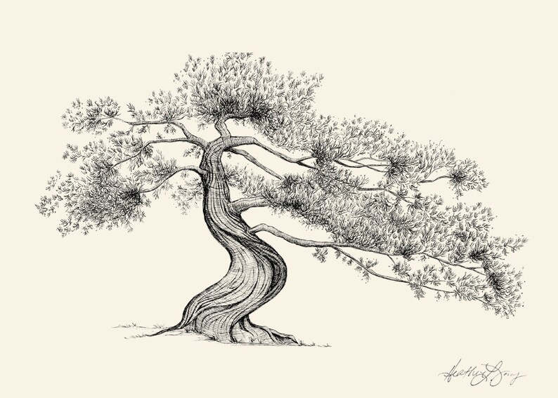 Juniper Tree Pen and Ink Drawing Fine Art Print Signed | Etsy