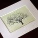 Old Oak Tree Print Watercolor Art Southern Decor Spanish - Etsy