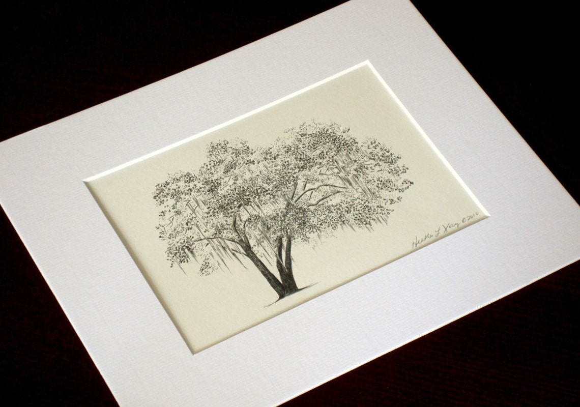 Savannah Georgia Old Oak Tree Print Line Art Nature - Etsy