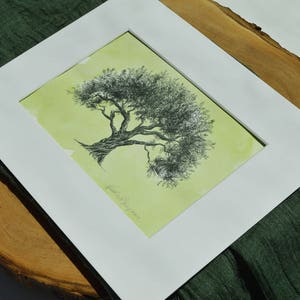 Olive Tree Pen and Ink Drawing Fine Art Print Watercolor - Etsy