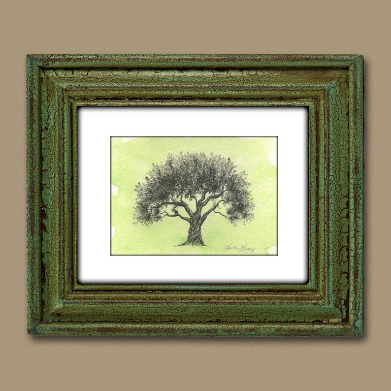 Green Olive Tree Watercolor Painting Pen and Ink Drawing Art - Etsy