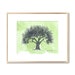 Olive Tree Pen and Ink Drawing Fine Art Print Watercolor Painting ...