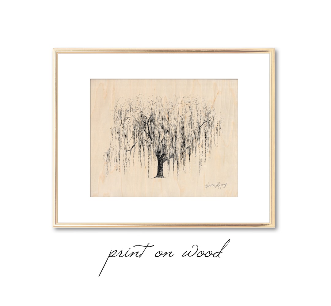 Weeping Willow Tree Print - Wood Wall Art - Botanical Illustration ...