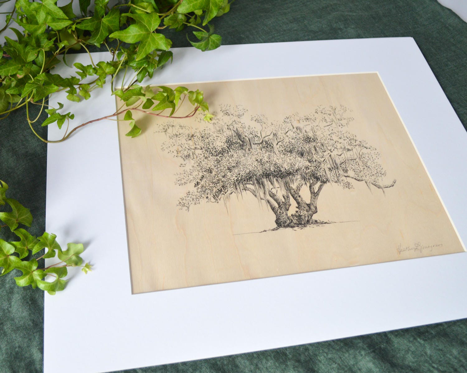 Rustic Live Oak Tree Print Wood Wall Art 5th Anniversary | Etsy