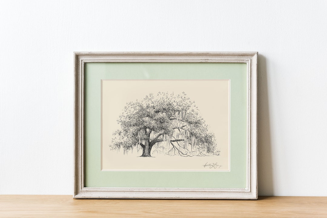 Ophelia Oak Tree - Live Oak Drawing - Fine Art - Signed Tree Print ...