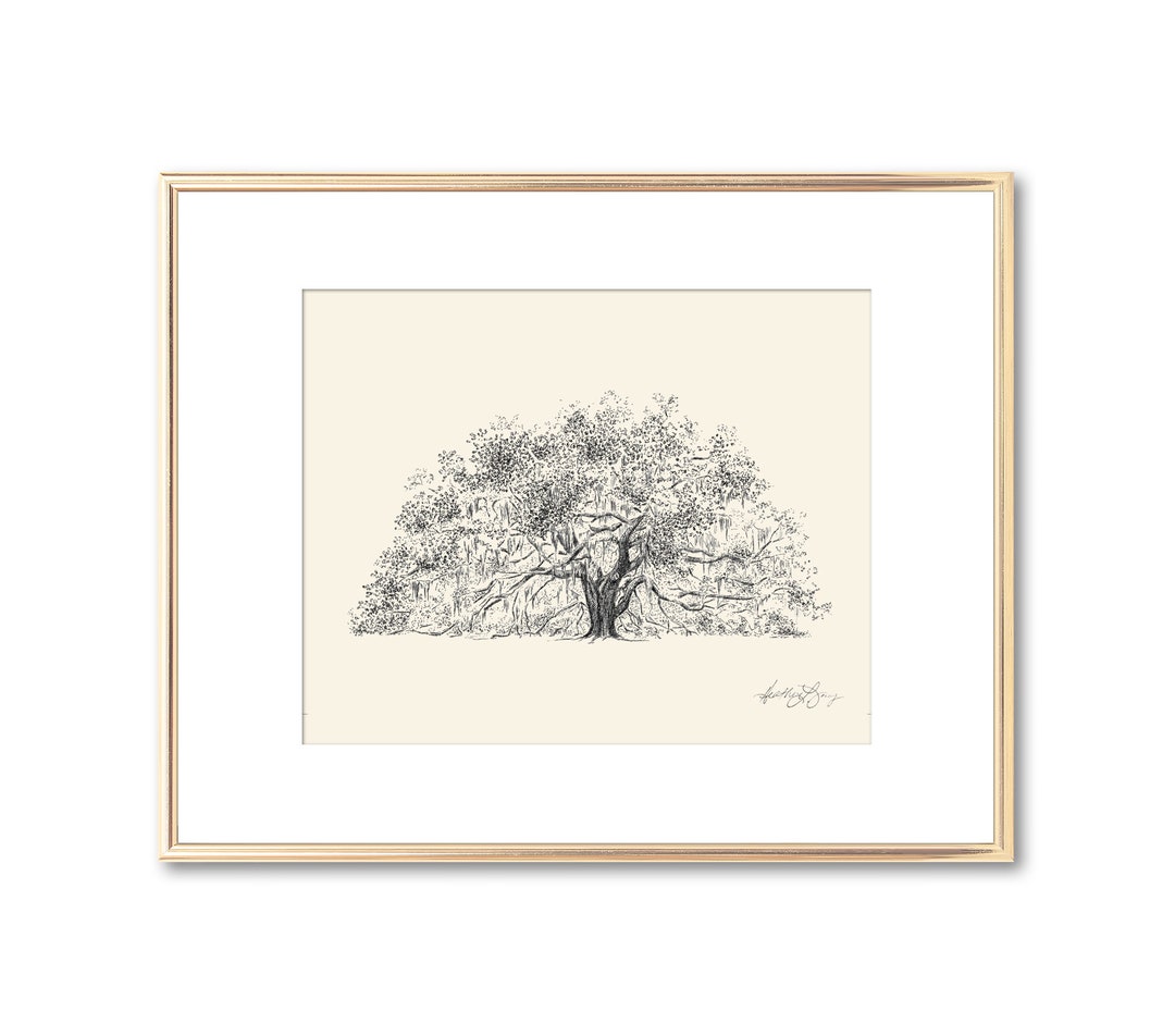 Tree Art Print - Majestic Oak Savannah, Georgia - Line Drawing on ...