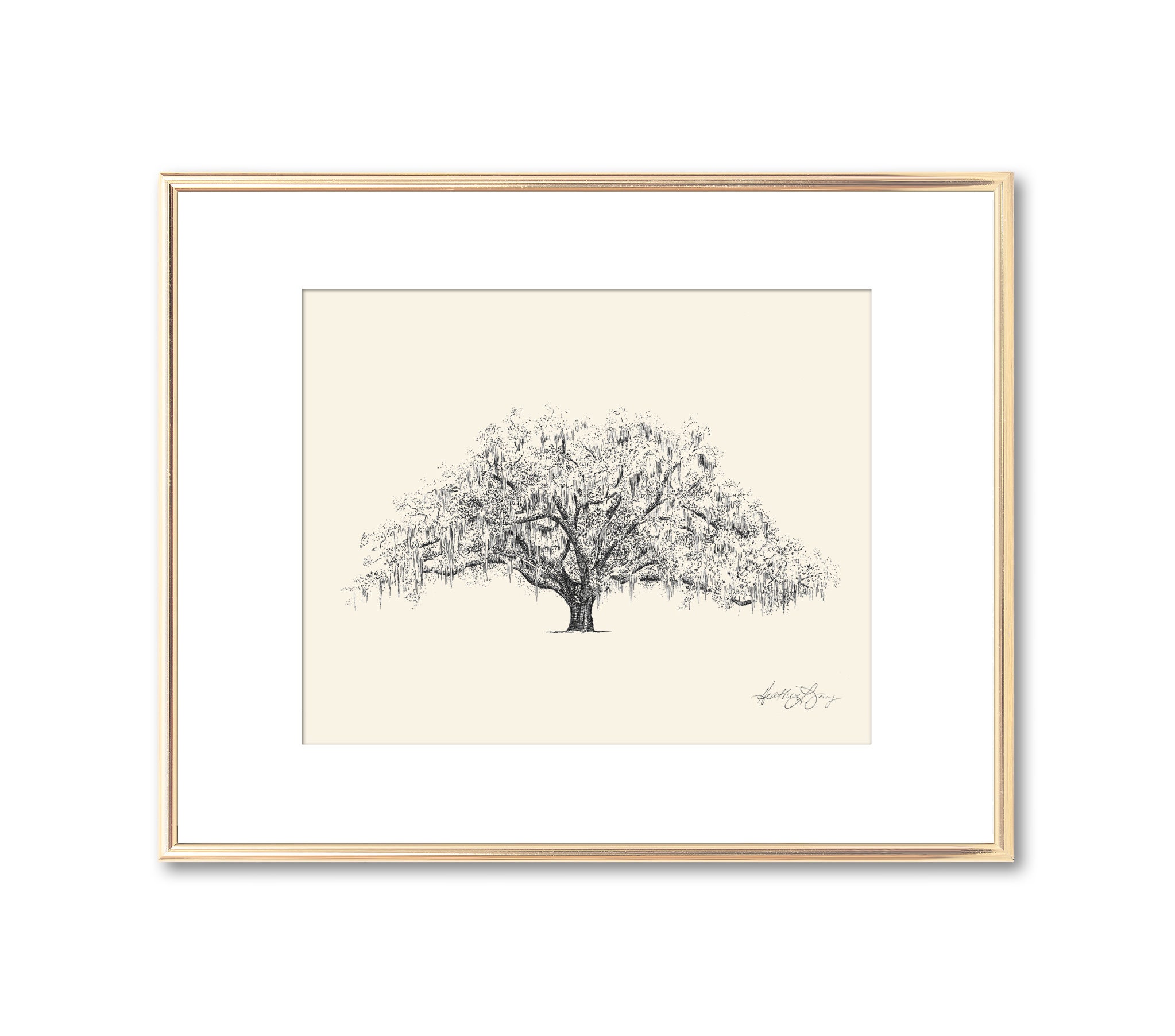 Spanish Moss Tree Sketch