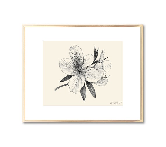 Azalea Flower Blossom Botanical Print Floral Wall Art | Etsy