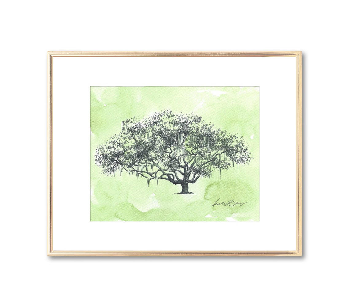 Ribault Club Oak Tree Pen and Ink Drawing Fine Art Print - Etsy