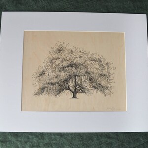 Wood Tree Art Old Oak Tree Print Nature Lover Gift 5th - Etsy