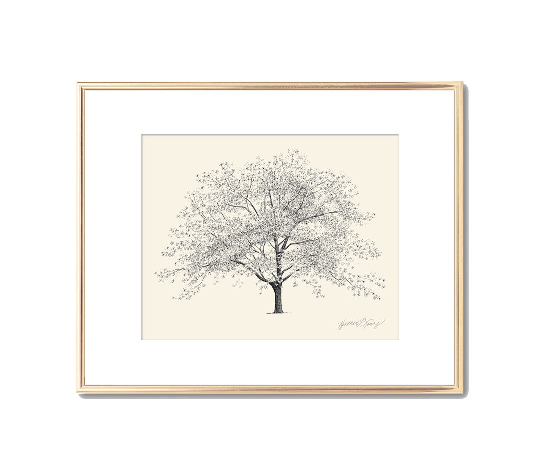 Dogwood Tree Line Art Drawing - Fine Art - Signed Giclee Print - 5x7 ...