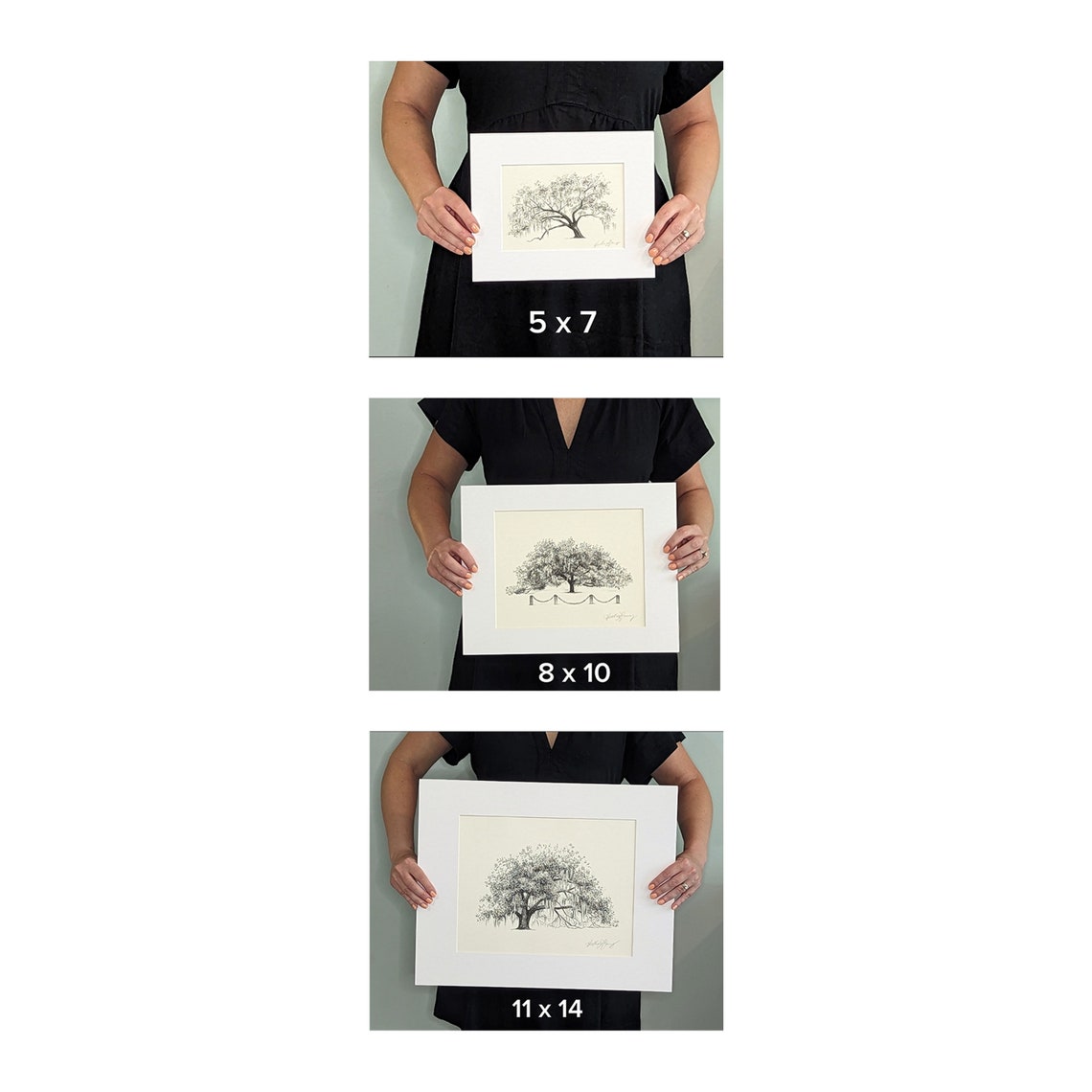 Dragon Tree Line Art Drawing - Fine Art - Signed Giclee Print - 5x7 ...