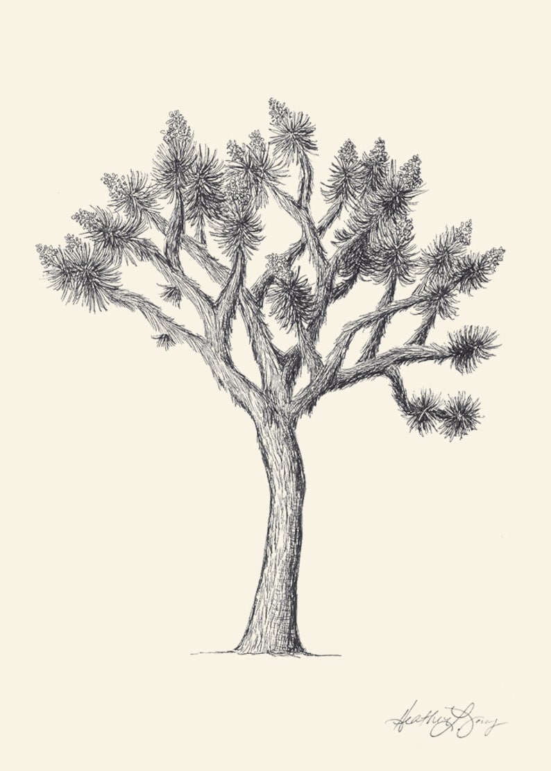 Joshua Tree Drawing Signed Fine Art Print Black Line | Etsy