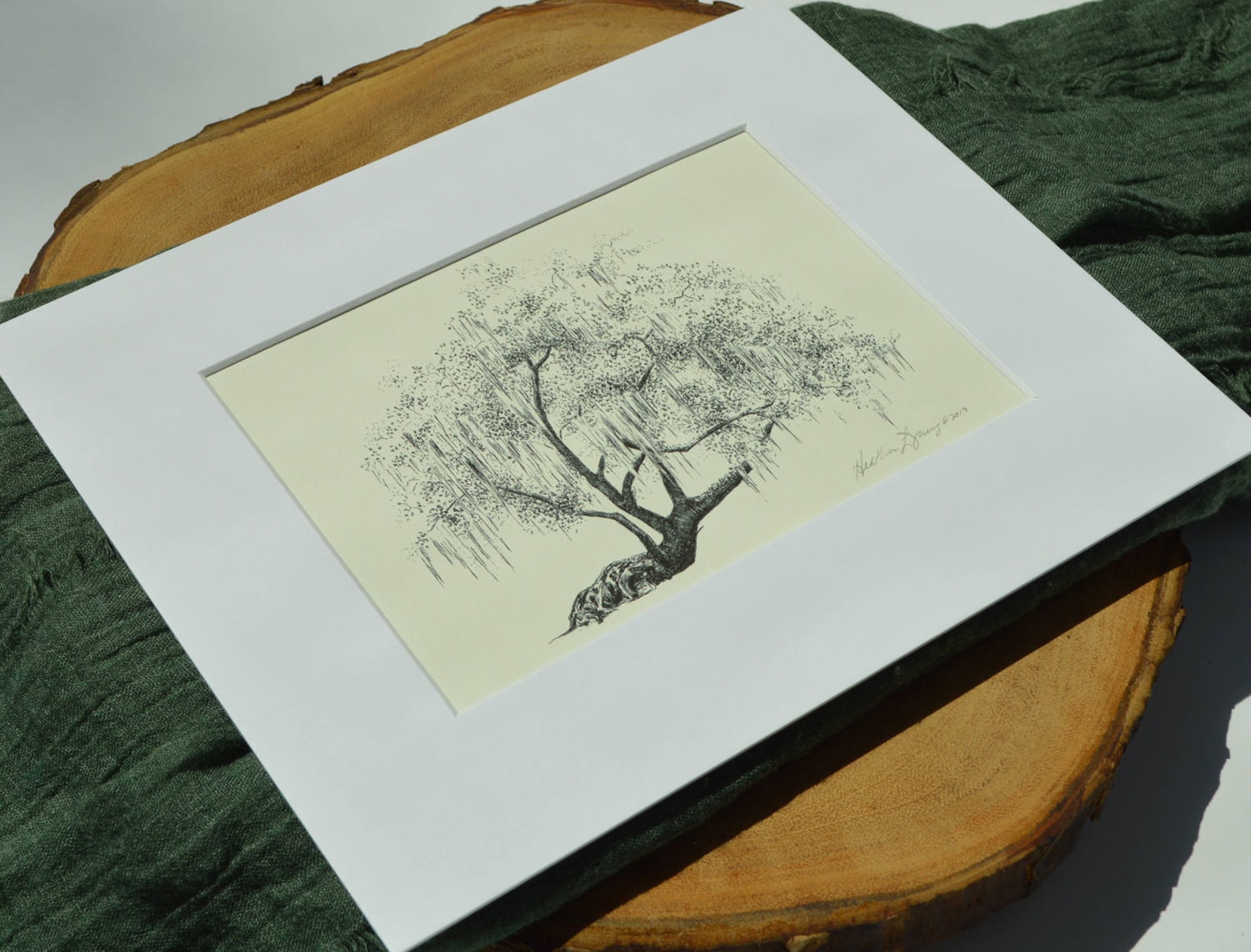 Live Oak Tree Print Technical Drawing Fine Art Print | Etsy