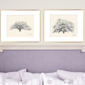 Oak Tree Print - Savannah Georgia - Candler Oak - Southern Decor ...