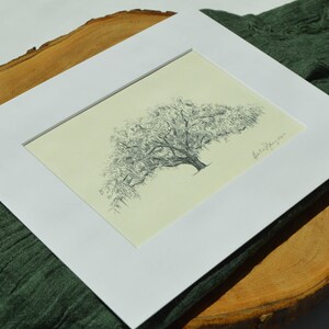 Old Oak Tree Print Nature Art Southern Farmhouse Decor - Etsy