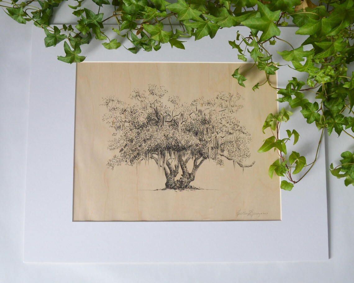 Rustic Live Oak Tree Print Wood Wall Art 5th Anniversary - Etsy