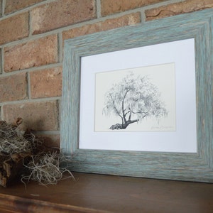 Live Oak Tree Print Technical Drawing Fine Art Print | Etsy