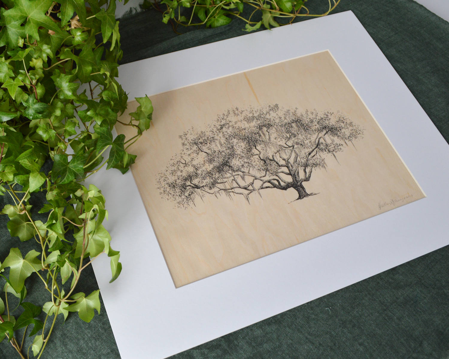 Old Oak Tree Print Wood Wall Decor Fine Art Print on Wood | Etsy