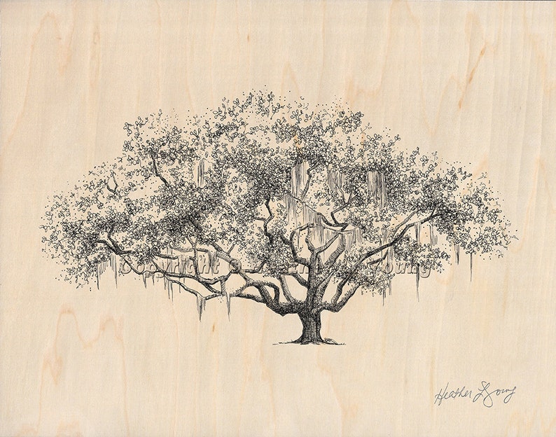 Collection of Oak Tree Prints Wood Wall Decor Technical - Etsy