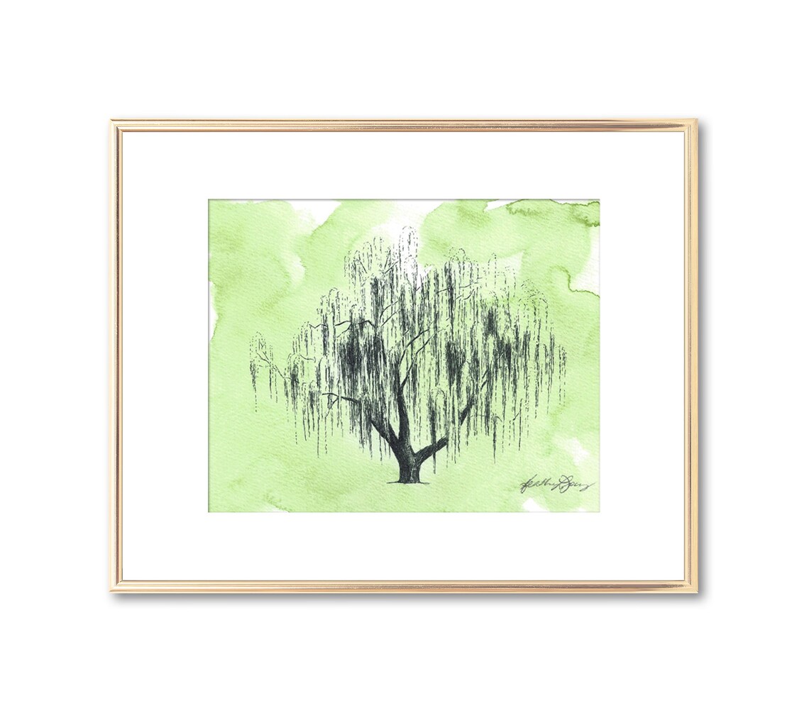 Willow Tree Print - Watercolor Painting - Technical Drawing - Nature ...
