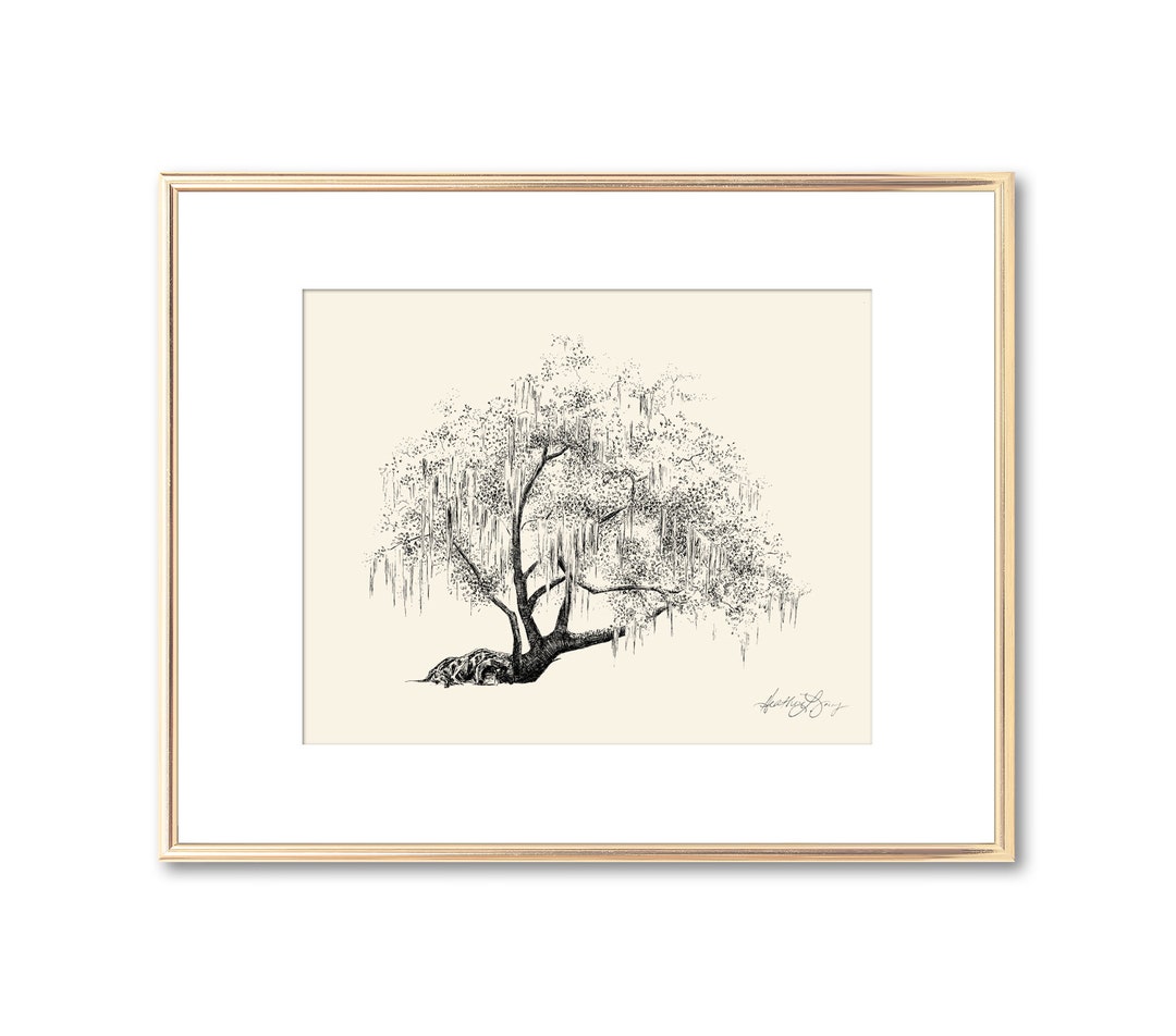 Live Oak Tree Print - Technical Drawing - Fine Art Print - Neutral ...