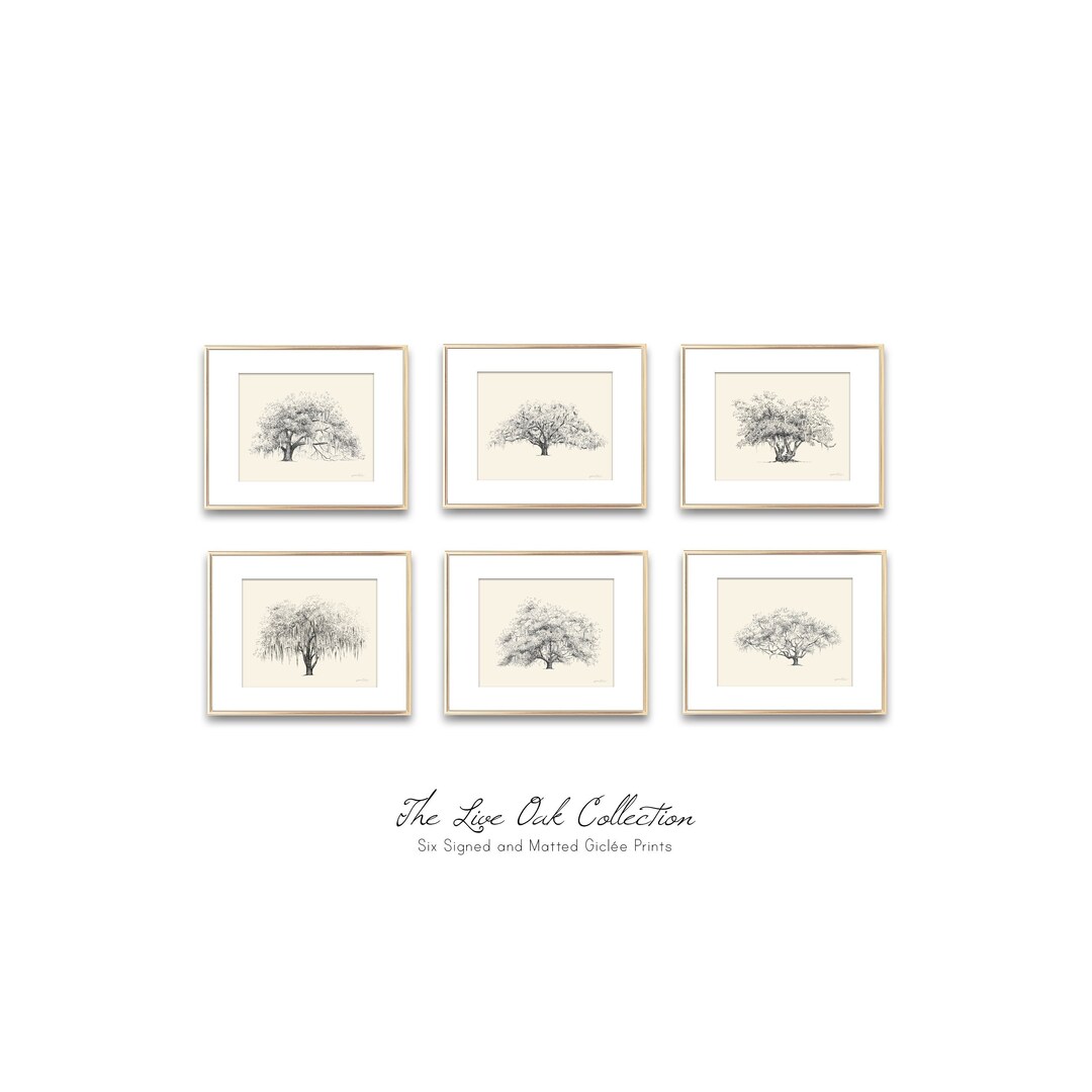 Live Oak Tree Art Collection - Gallery Wall Set of 6 Tree Prints ...