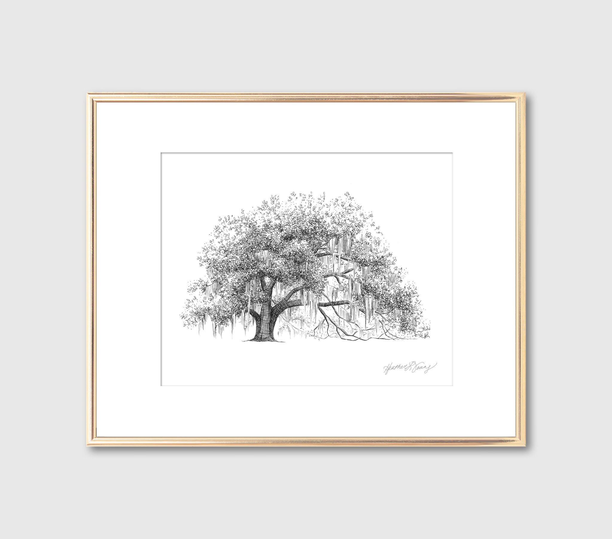 Ophelia Oak Tree - Live Oak Drawing - Fine Art - Signed Tree Print ...