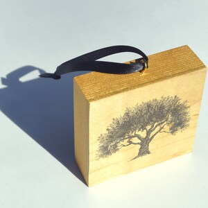 Olive Tree Pen and Ink Fine Art Print on Wood - Sustainably Harvested ...