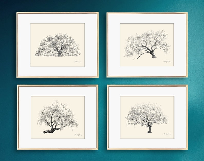Live Oak Tree Print Technical Drawing Fine Art Print | Etsy
