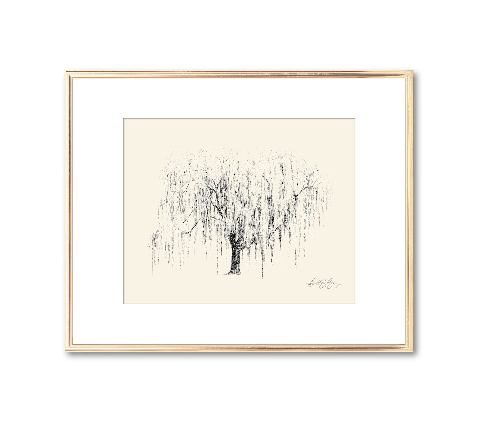 Weeping Willow Tree Drawing Line Art Botanical - Etsy