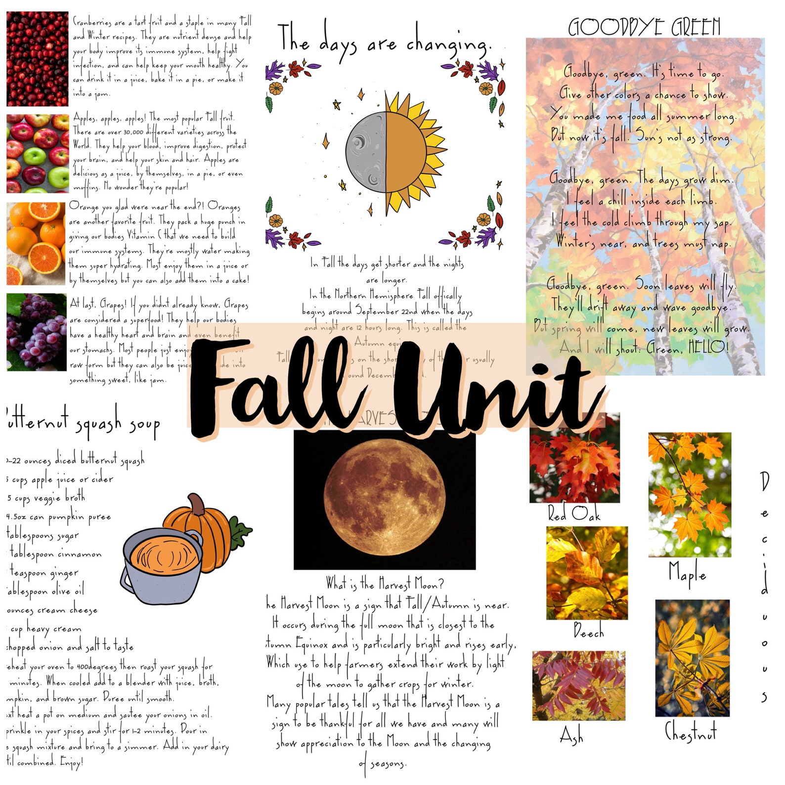 Fall/autumn Unit Study - Etsy