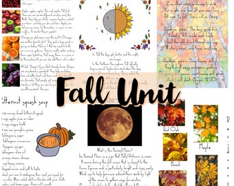 Leaves Lesson: Fall, Winter, Spring, Autumn, Summer, STEM, Math ...