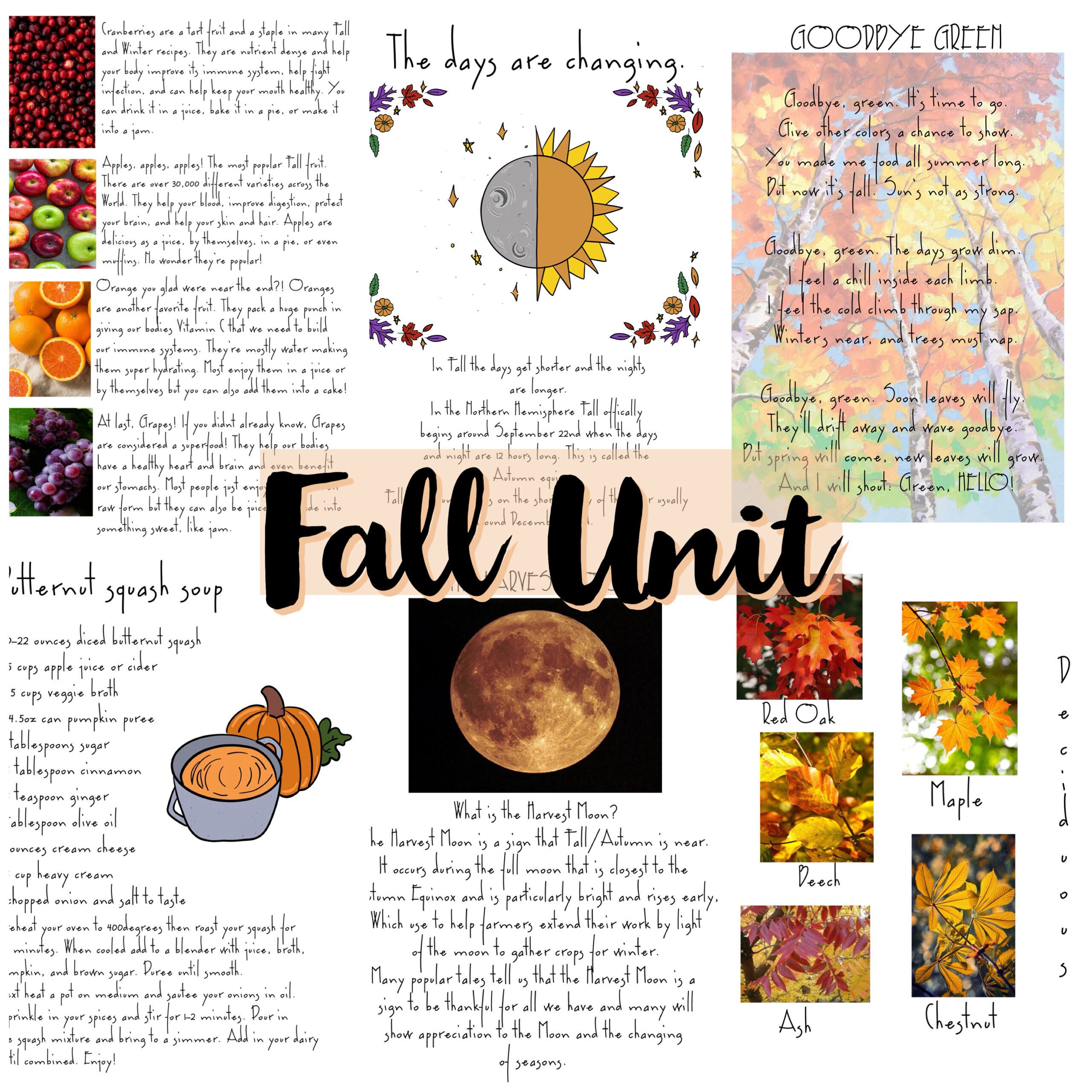 Fall/autumn Unit Study - Etsy