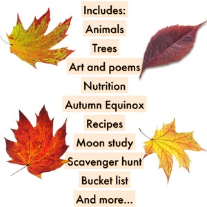Fall/autumn Unit Study - Etsy
