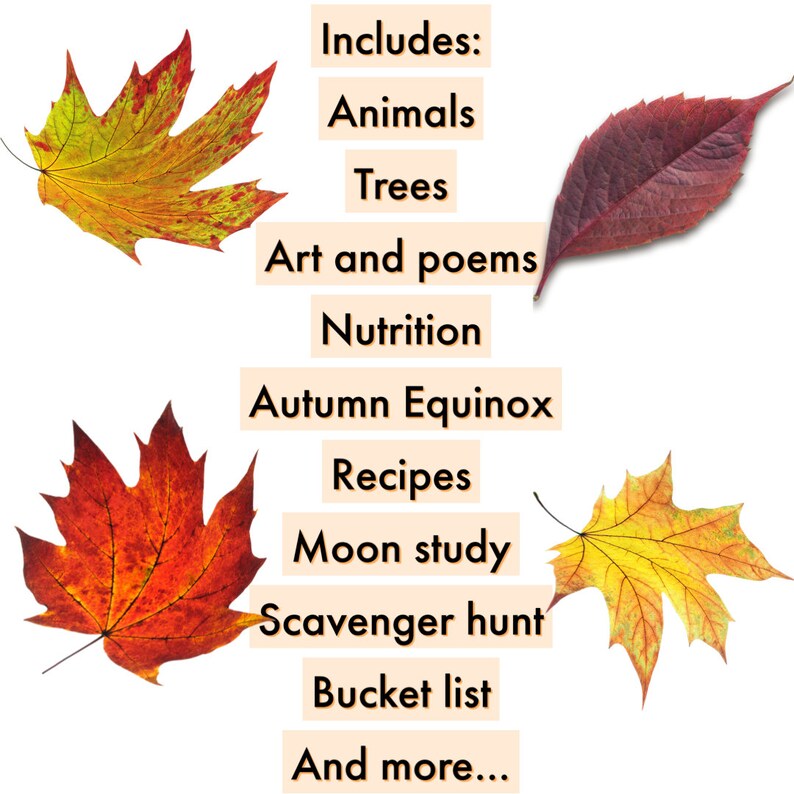 Fall/autumn Unit Study - Etsy