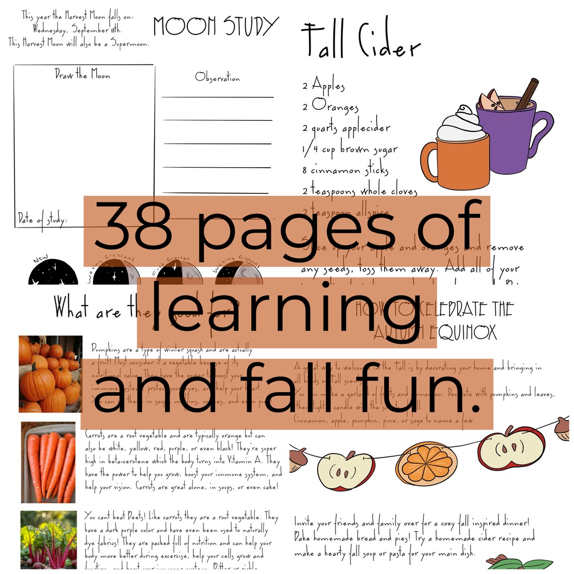 Fall/autumn Unit Study - Etsy