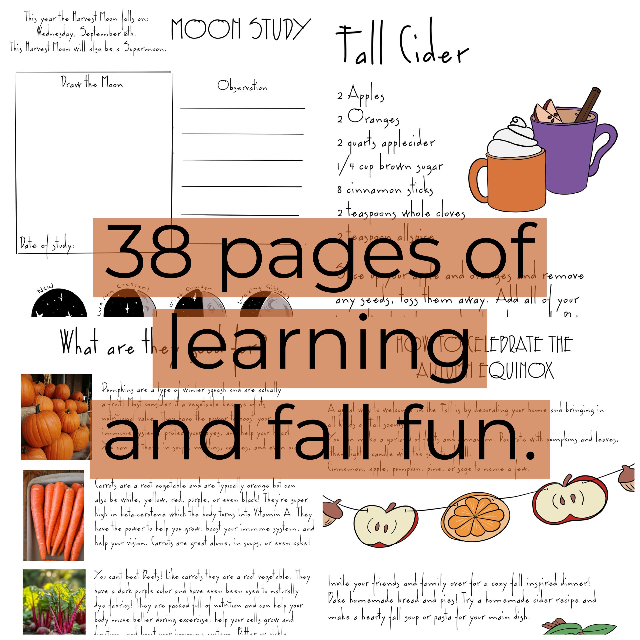 Fall/autumn Unit Study - Etsy