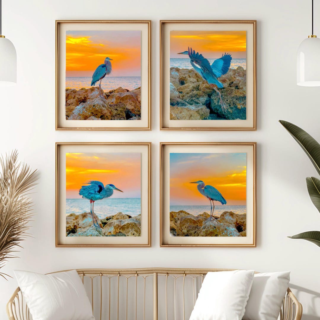 Blue Heron Sunset Photography Prints: Anna Maria Island Wall Art ...