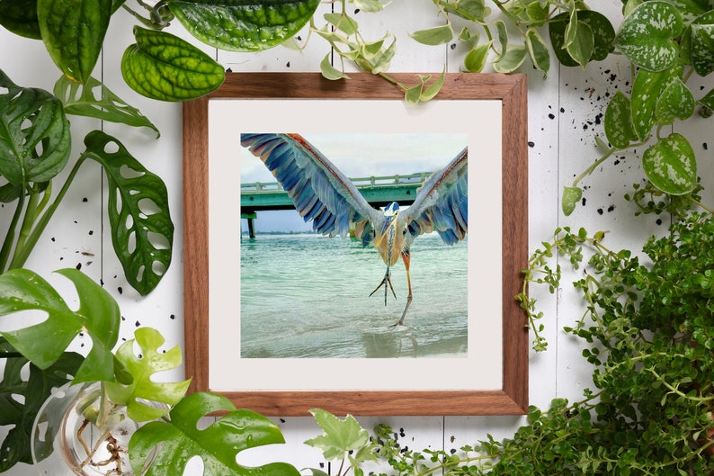 Wings of the Ocean, Anna Maria Island, Blue Heron Poster, Blue Heron ...