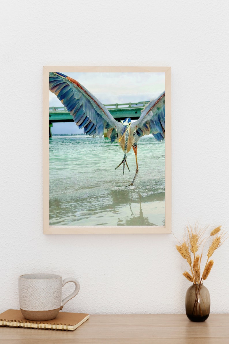 Wings of the Ocean, Anna Maria Island, Blue Heron Poster, Blue Heron ...