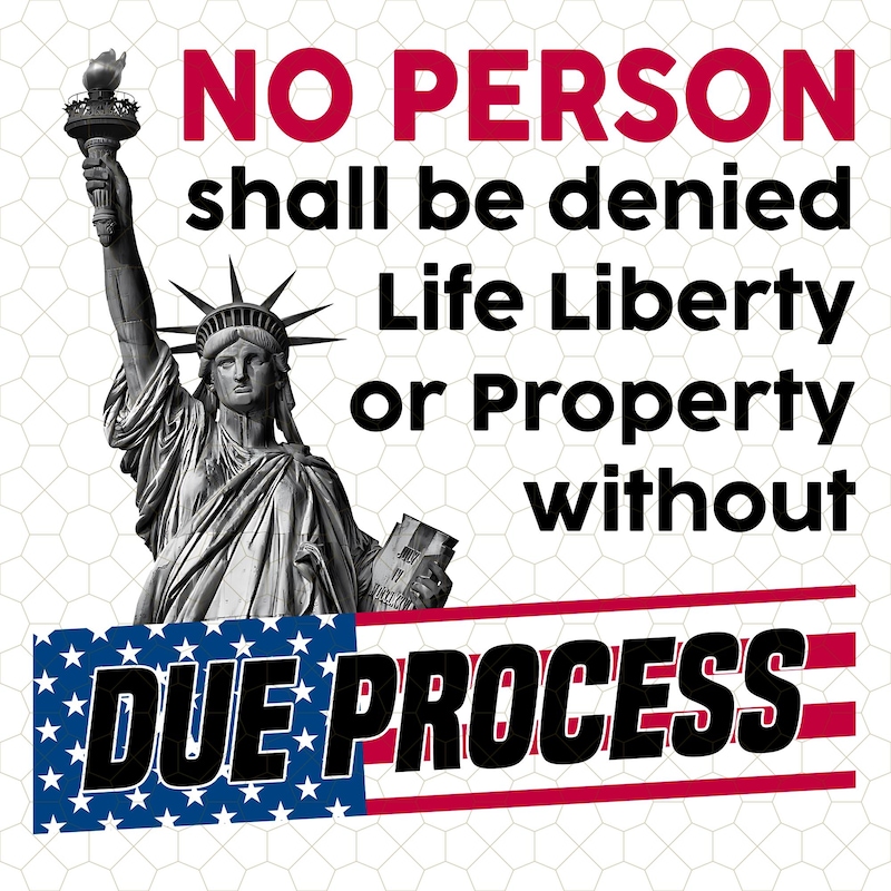 Due Process Protest Sign - Etsy