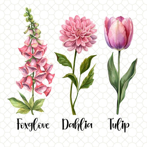 Tulip and Daisy Wall - Etsy UK