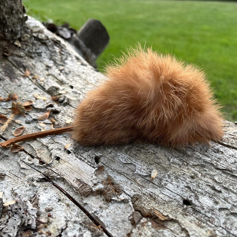 Fur Toy - Etsy