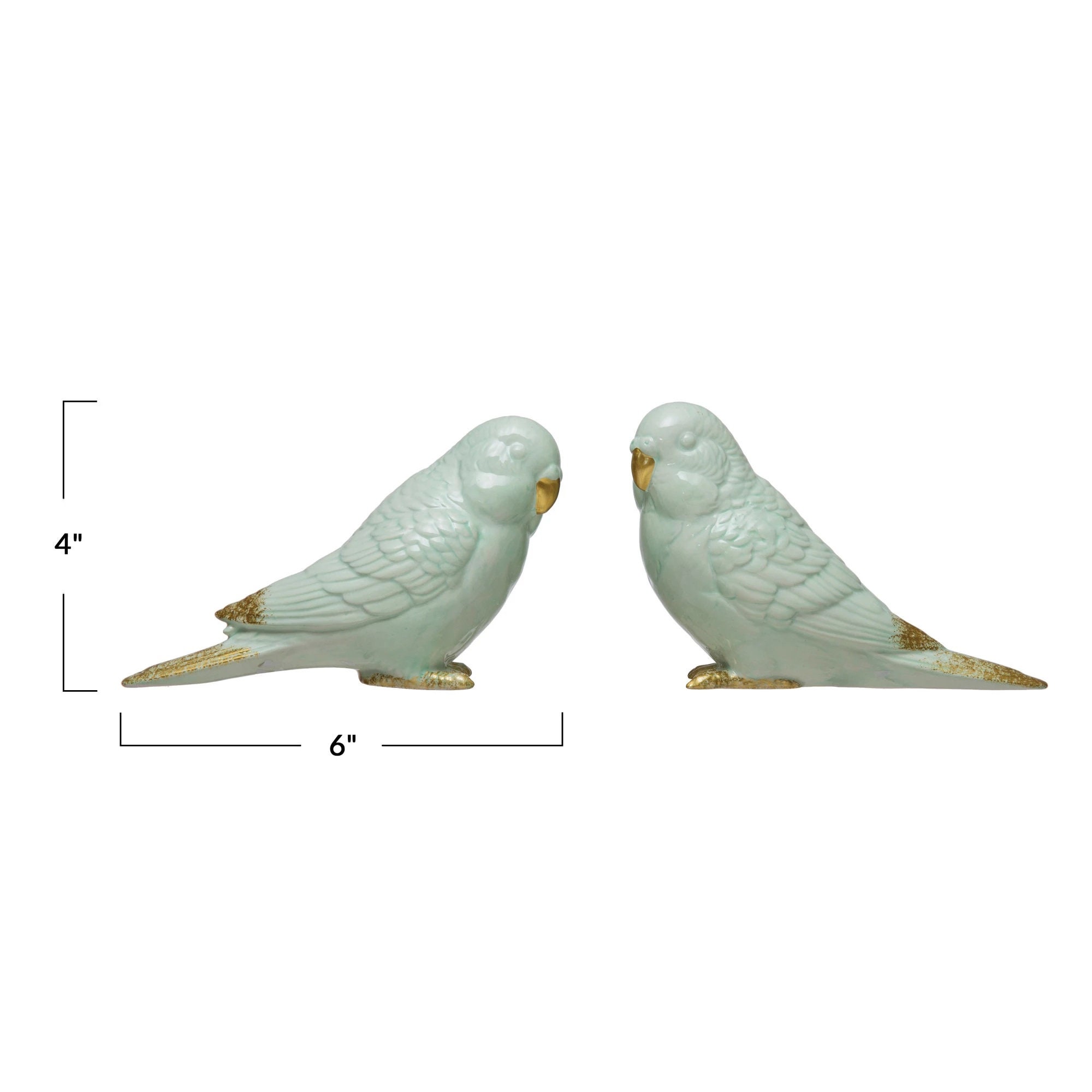 Parakeet Budgie White