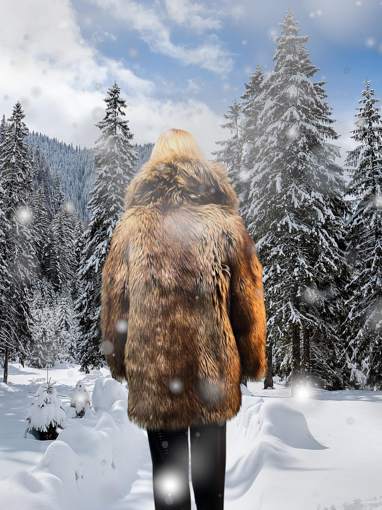 Brown Wolf Faux Fur Coat - Etsy