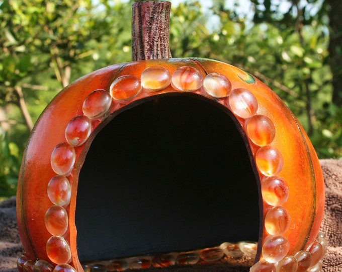Pumpkin Toad House Gourd - Etsy