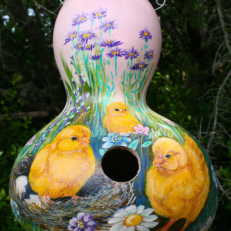 Gourd Chickens - Etsy